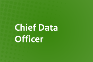Chief Data Officer (CDO) | Rijksacademie Onderdeel van de Rijksoverheid ...